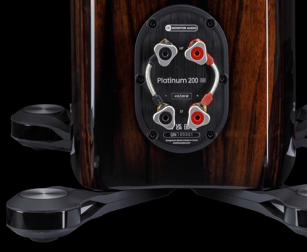 Review Monitor Audio Platinum 200 (gen3) - Platinum Slab! - Alpha Audio